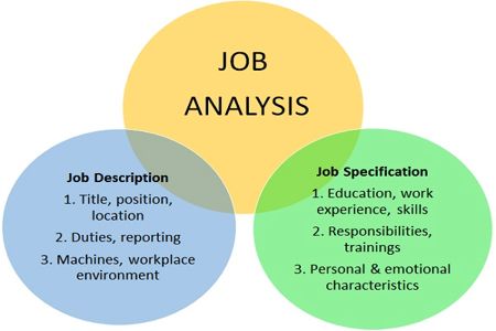 Contrast between Job Description and Job Specification - QS Study