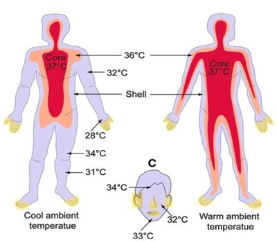 Body Temperature - QS Study