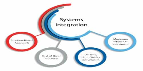 Describe the Anatomical Structure of a Dicot Leaf - QS Study