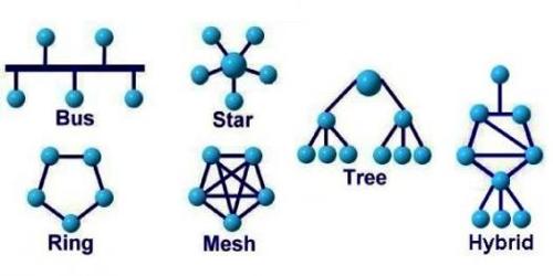 Different Types of Topologies - QS Study